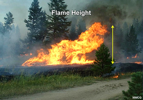 8.1 Flame Height | NWCG